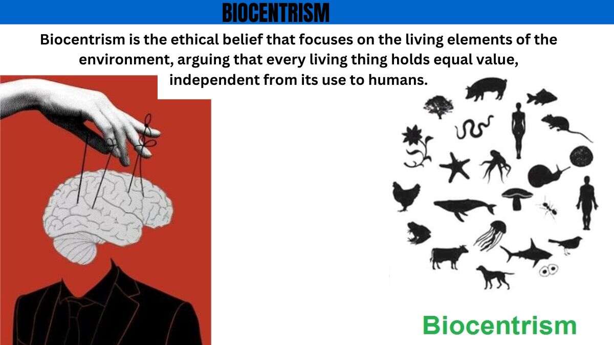 Is Biocentrism Debunked? Everything You Need To Know